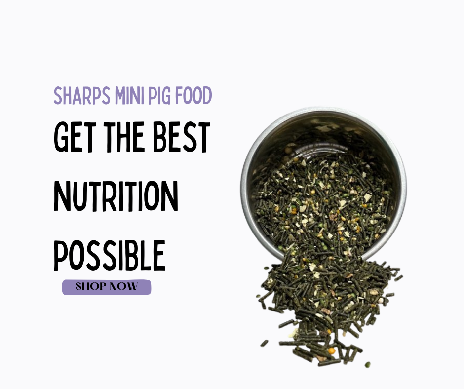 Sharp's Mini-Pig Food | Natural Mini-Pig Food, pet mini pigs, mini pig ...